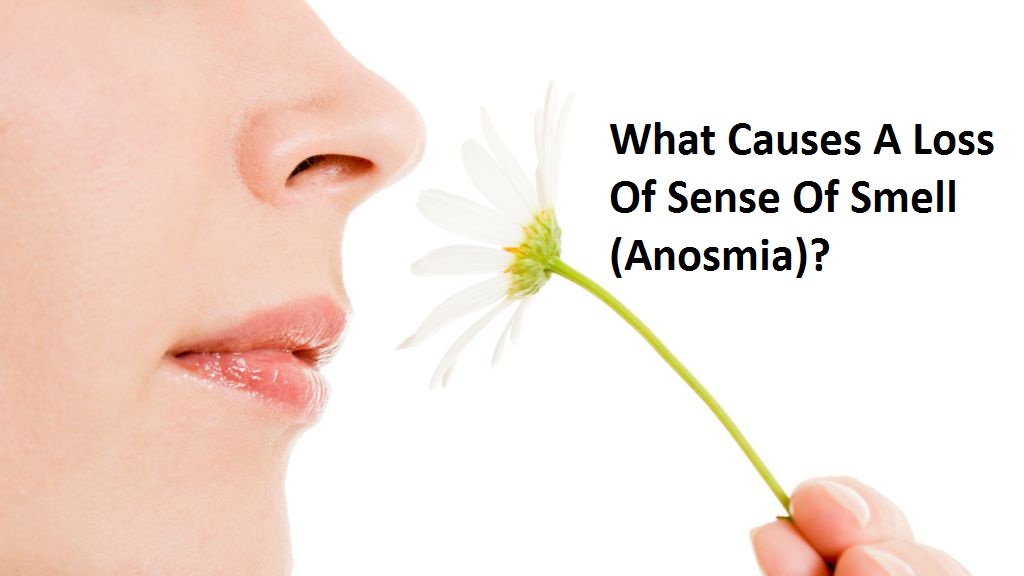 What Causes A Loss Of Sense Of Smell (Anosmia)?